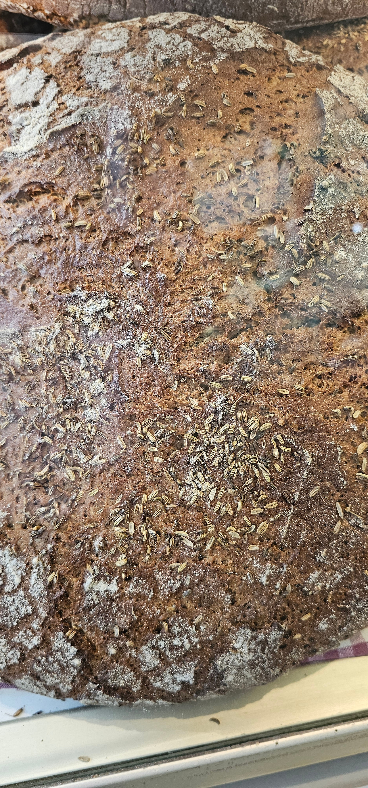 06화 Mit Kümmel brot 캐러웨이 품은 빵