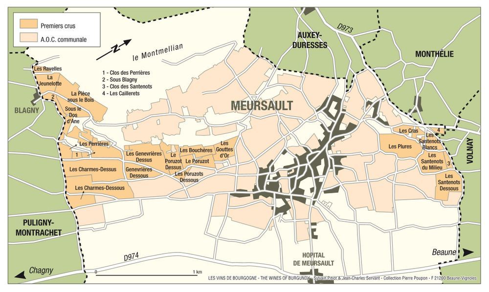죽음 속에서 삶의 의미를 찾다 -[이방인]을 읽고