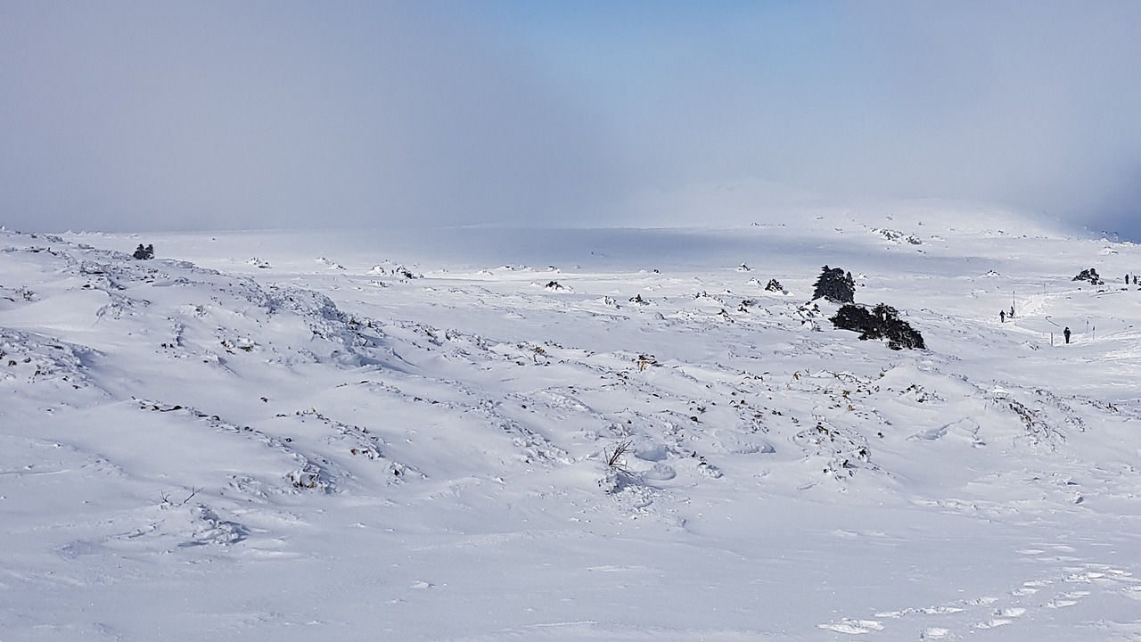겨울 한라산 등반기