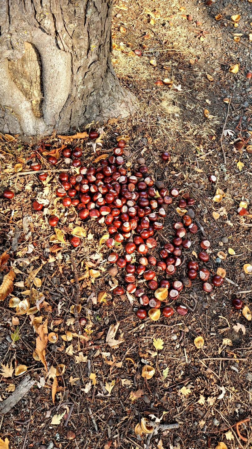 여행을 하며... 다시 태어난다