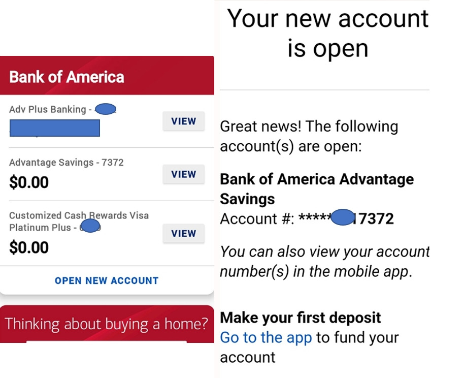 181 checking vs saving account