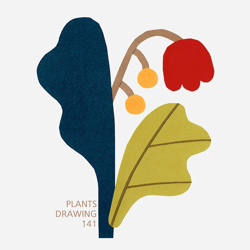 Plants drawing 141