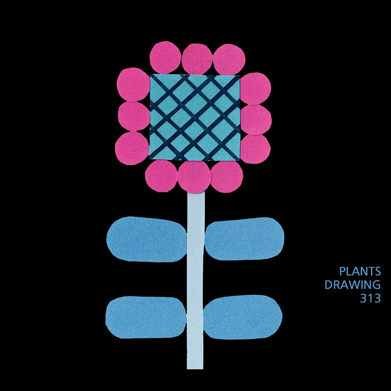 Plants drawing 313