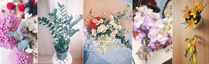 아픈 마음을 달래주는 것들