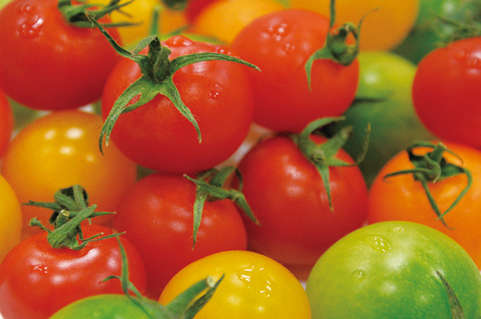 진공 포장된 쇠고기가 변색되는 원인과 대처법