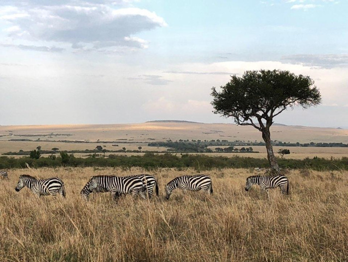 법인카드를 떠나 보낸 뒤의 일들