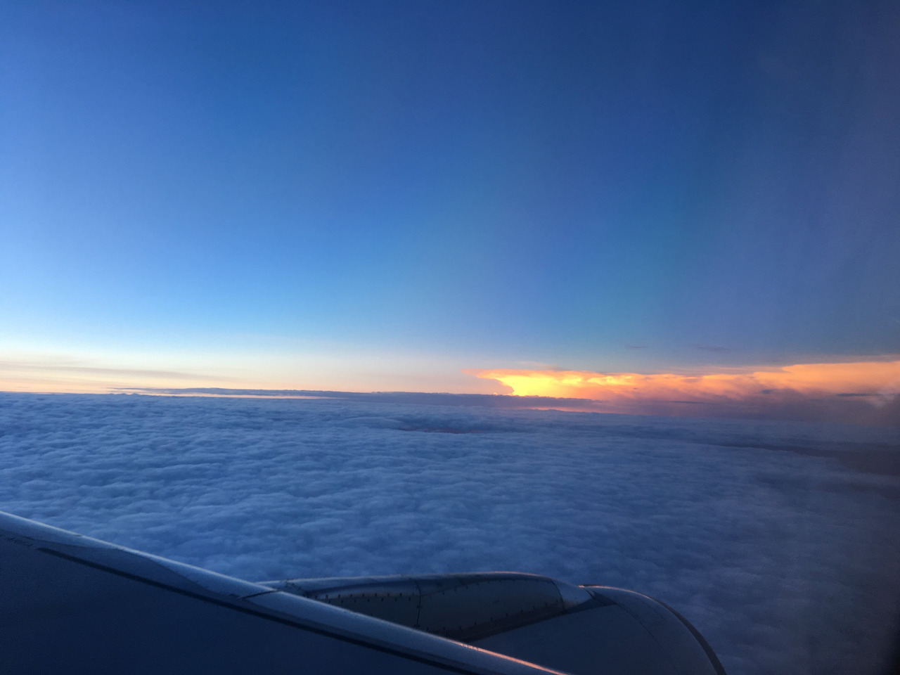 Fly, Fly, Bye
