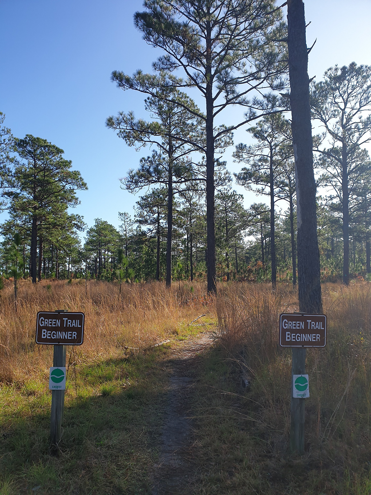 [노스캐롤라이나 일상] Smith Lake, NC