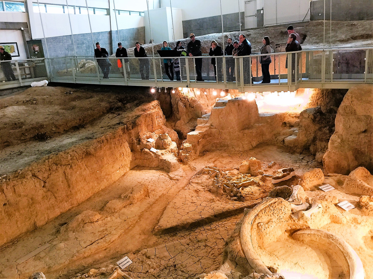 웨이코의 Mammoth National Monument