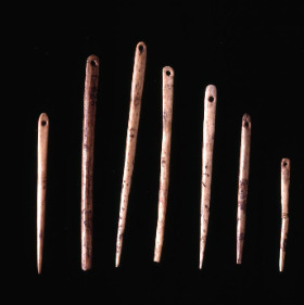 01화 호모 사피엔스의 옷 입기