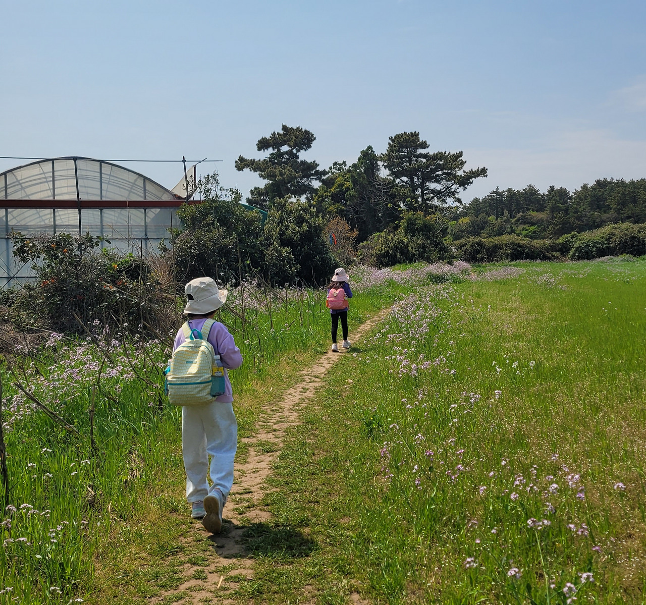 05화 엄마, 오름 오르고 싶어요!
