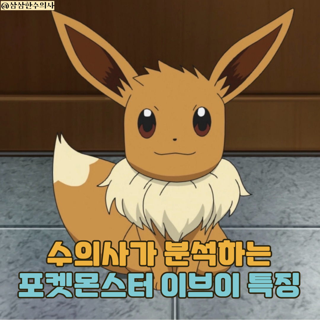 [수의사가 보는 동물 캐릭터] 포켓몬스터 이브이