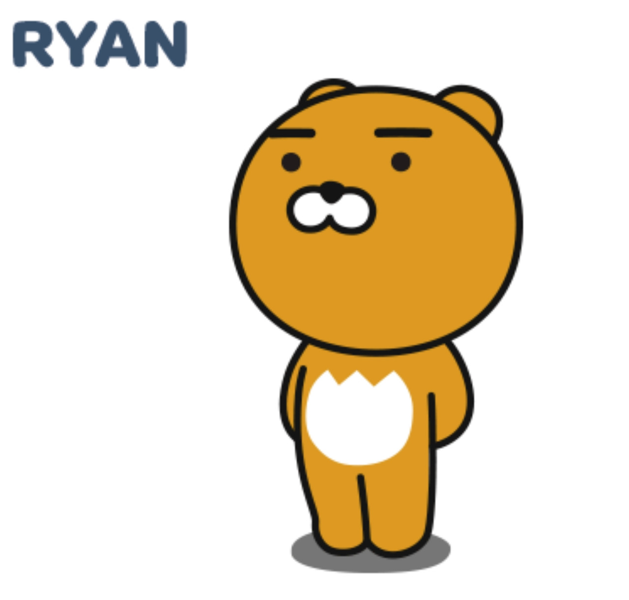 [수의사가 보는 동물 캐릭터] 카카오 프렌즈 라이언