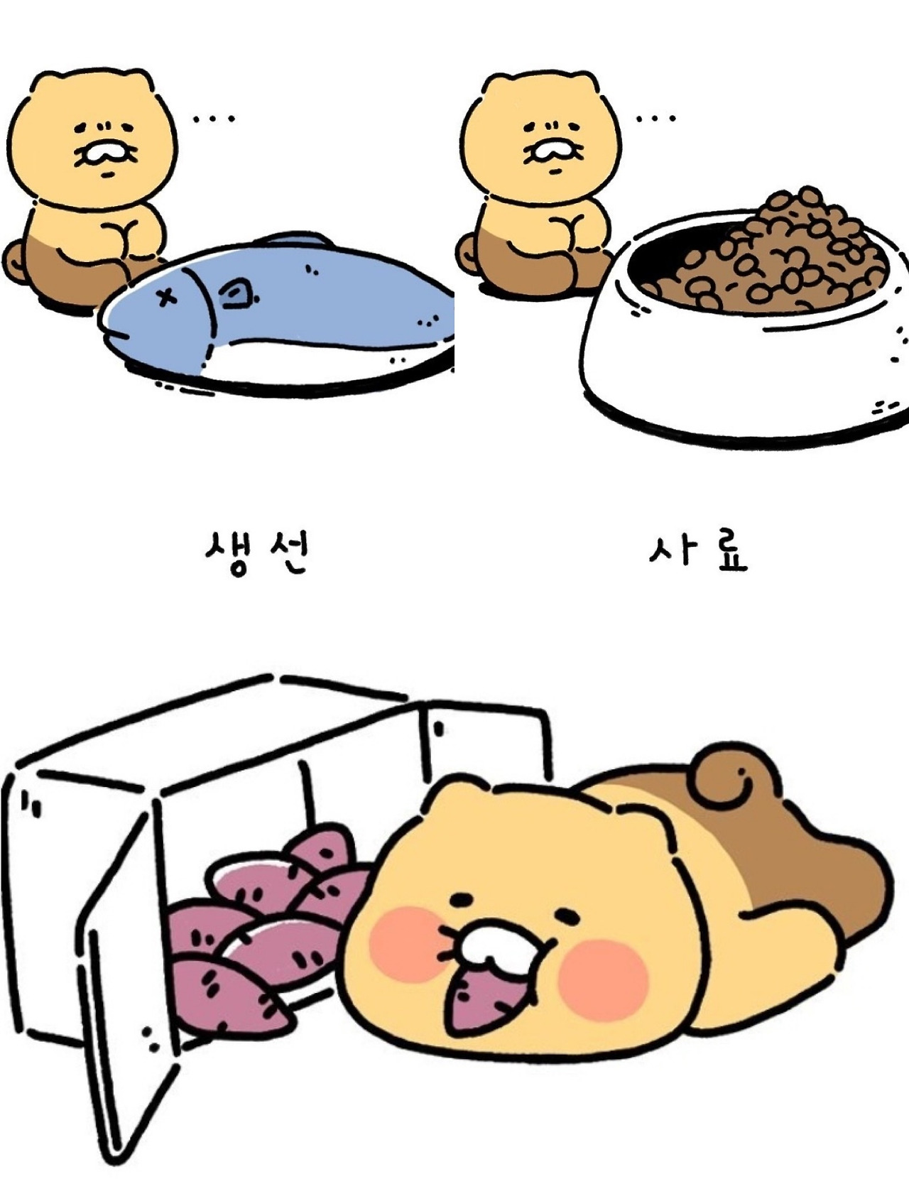 [수의사가 보는 동물 캐릭터] 카카오 프렌즈 춘식이