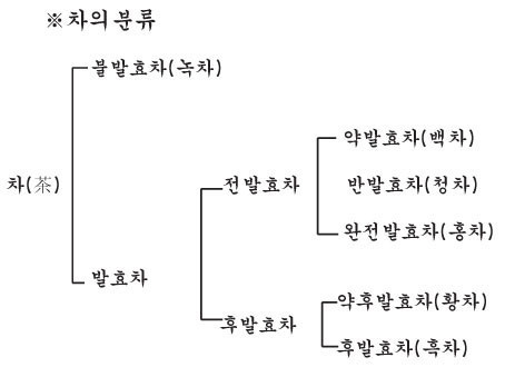02화 중국 차에 대해 얼마나 알고 계신가요?