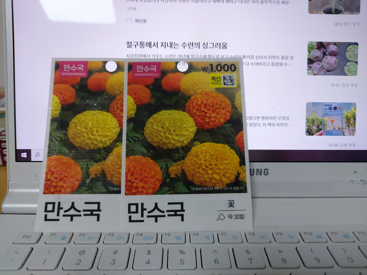 #groro, 적환무는 뭐...