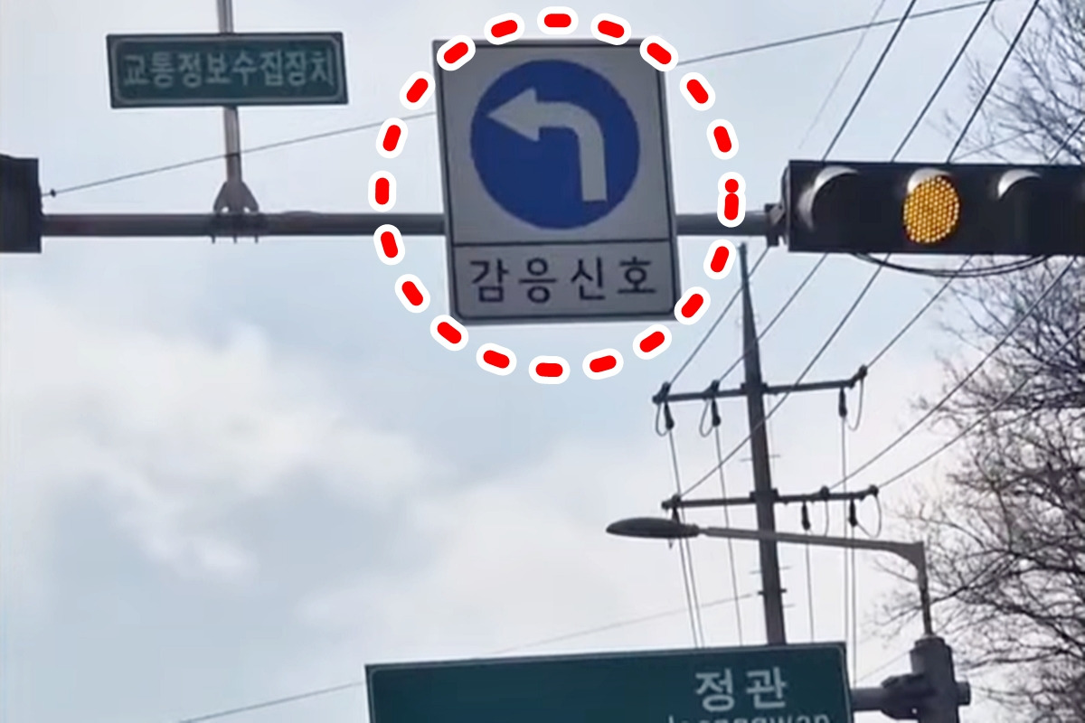 비보호 좌회전? 헷갈리는 순간, 바로 손해입니다.