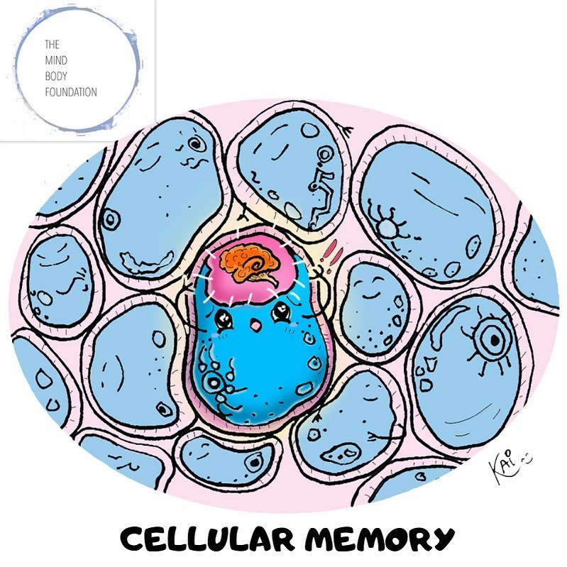 셀룰러 메모리 cellular memory