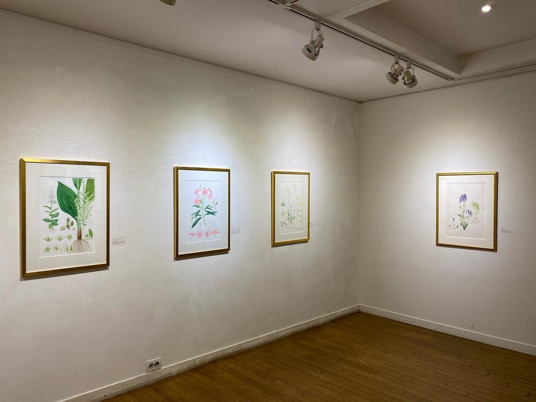 [Art] 보태니컬 아트 Botanical art