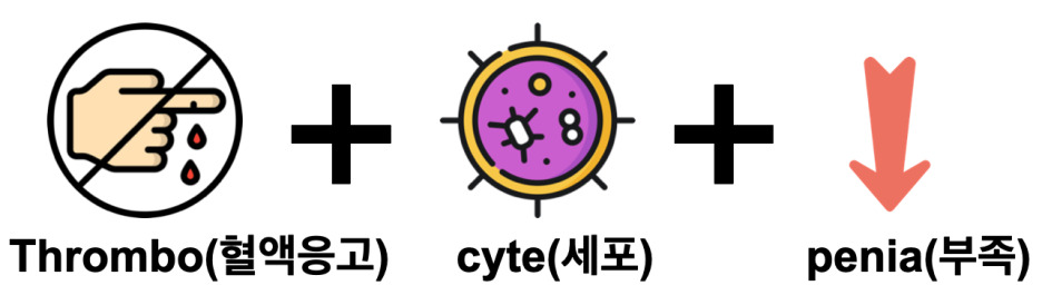 혈액 관련 의학용어, 접두사와 접미사