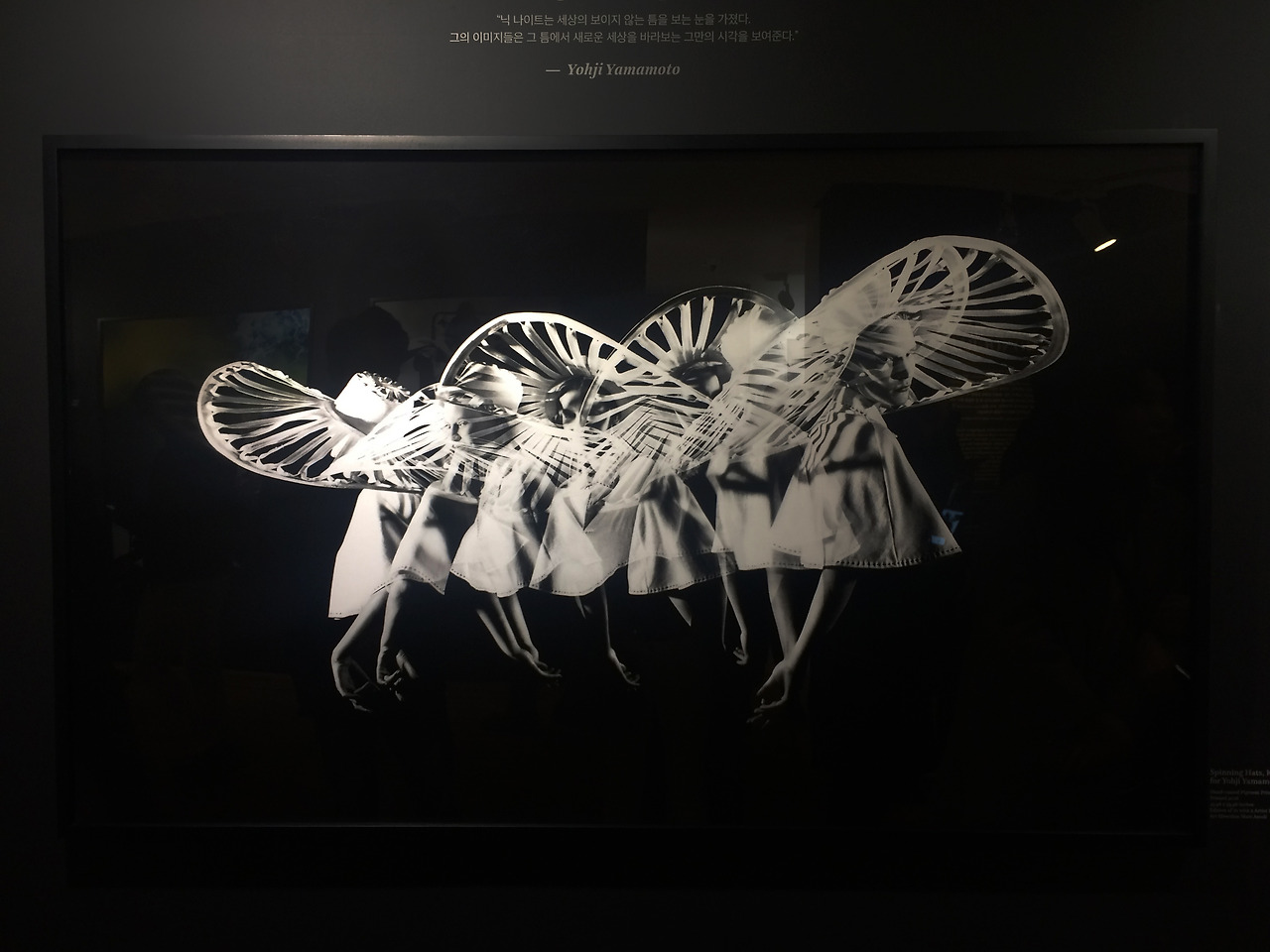 Nick Knight Image