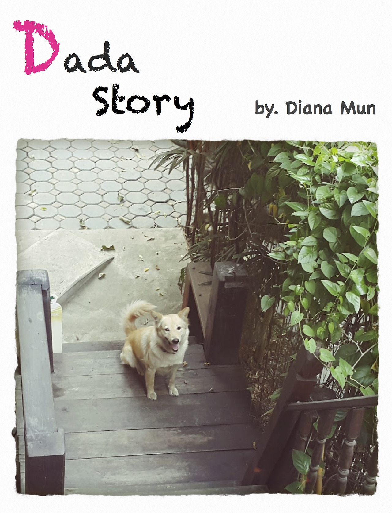 DADA STORY
