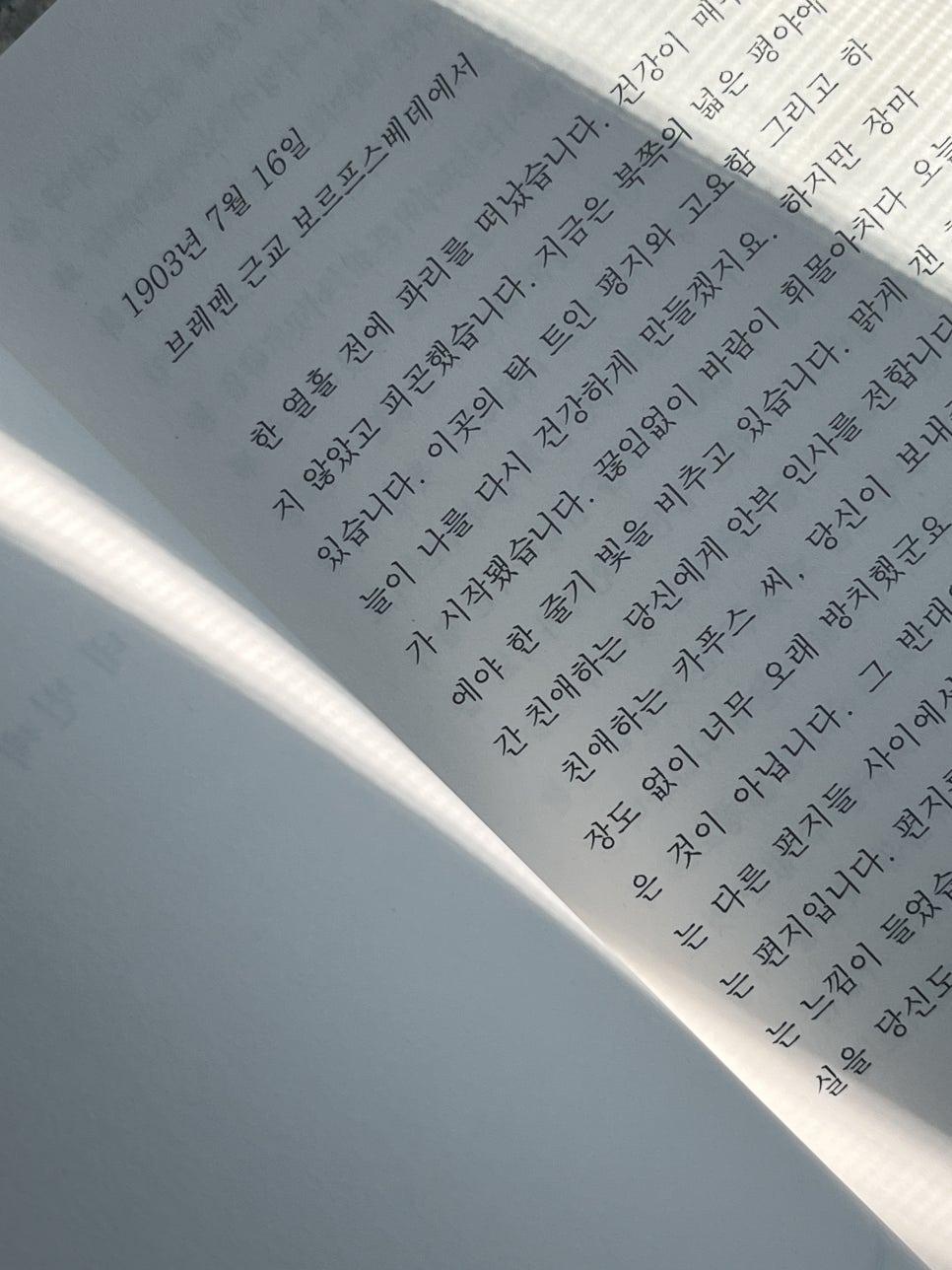 오늘에야 한 줄기 빛을 비추고 있습니다.