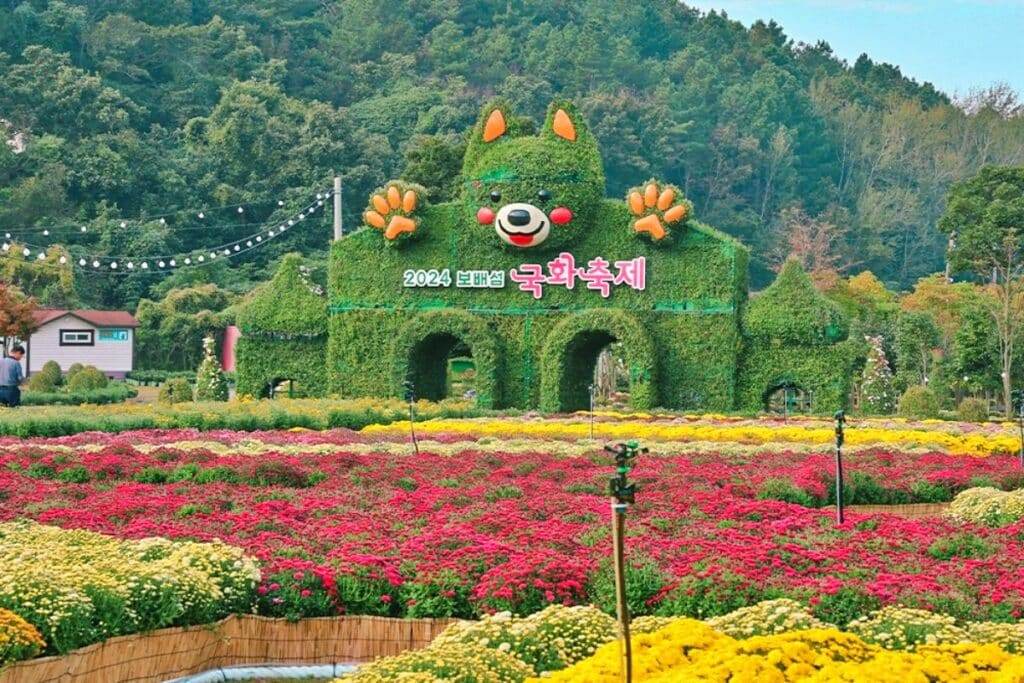 13만 송이 국화의 향연…가을 꽃축제 속으로 초대합니다