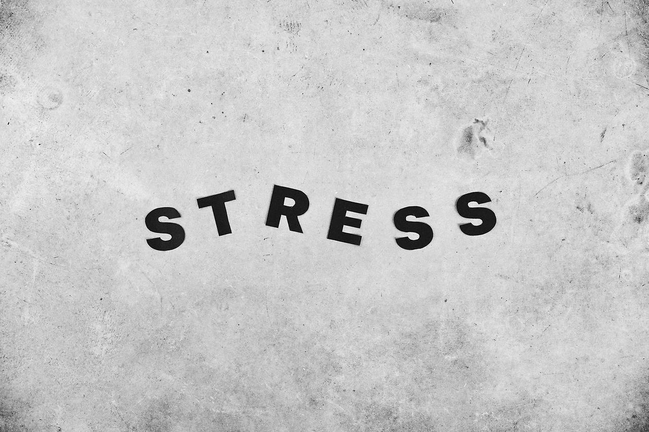 09화 미친 듯이 불안할 때 꺼내 읽는 문장