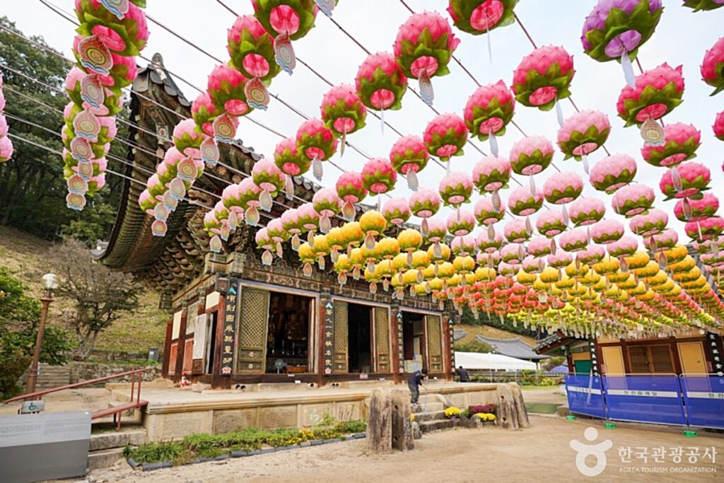 시간이 느려지는 여행, 영천 팔공산 은해사로 떠나다