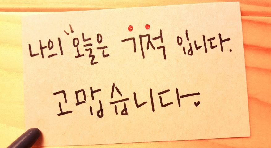 [419일][4월14일]Amazing Day42