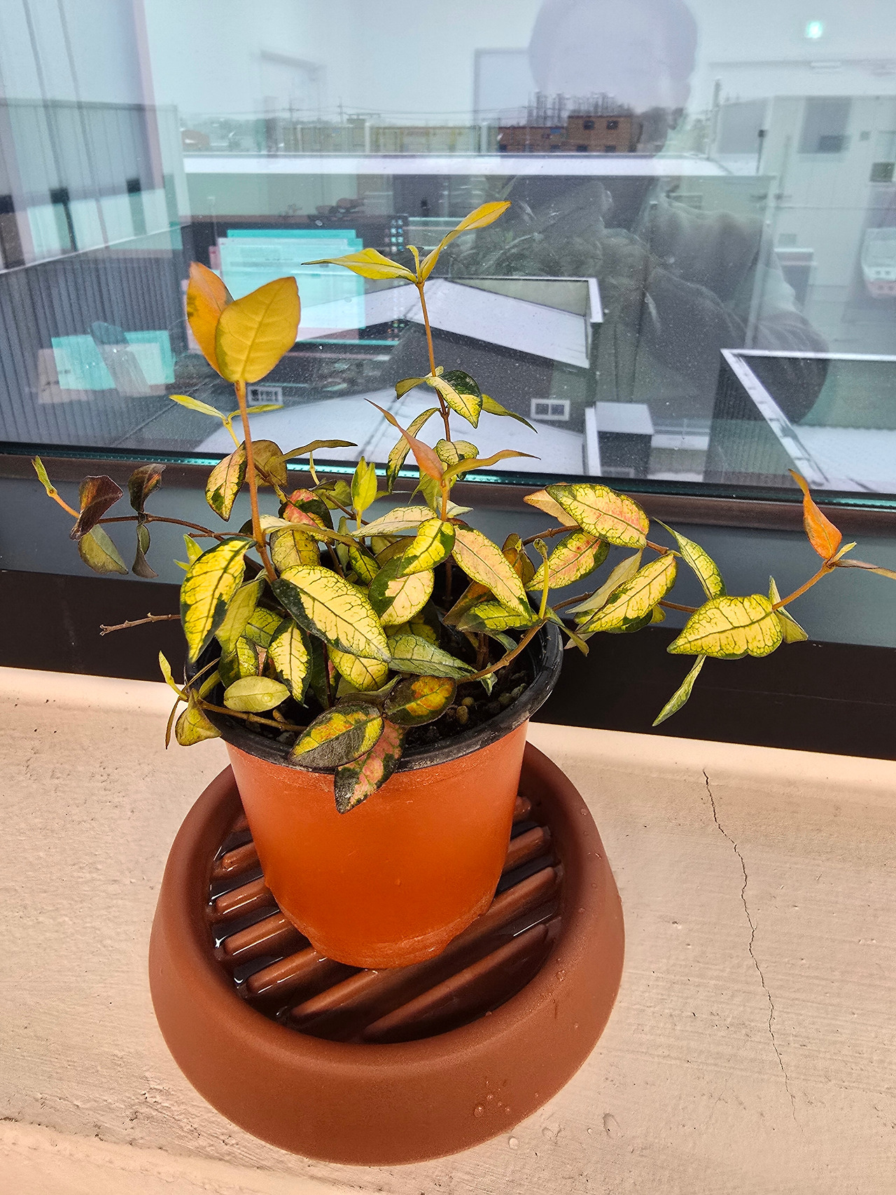 기능의 종말, 본질의 시대