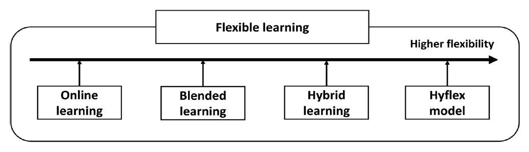 하이플렉스(HyFlex) 학습 모델에 대한 짧은 소개