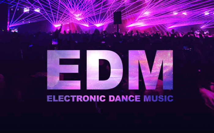 EDM 장르를 재정의한 콜라보레이션 6