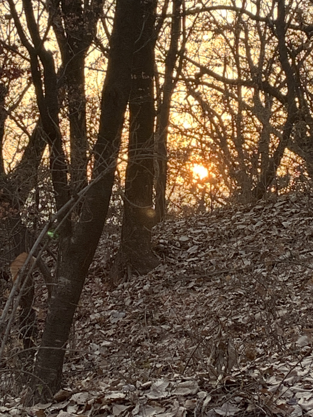 10화 겨울 호숫가를 걷노라면
