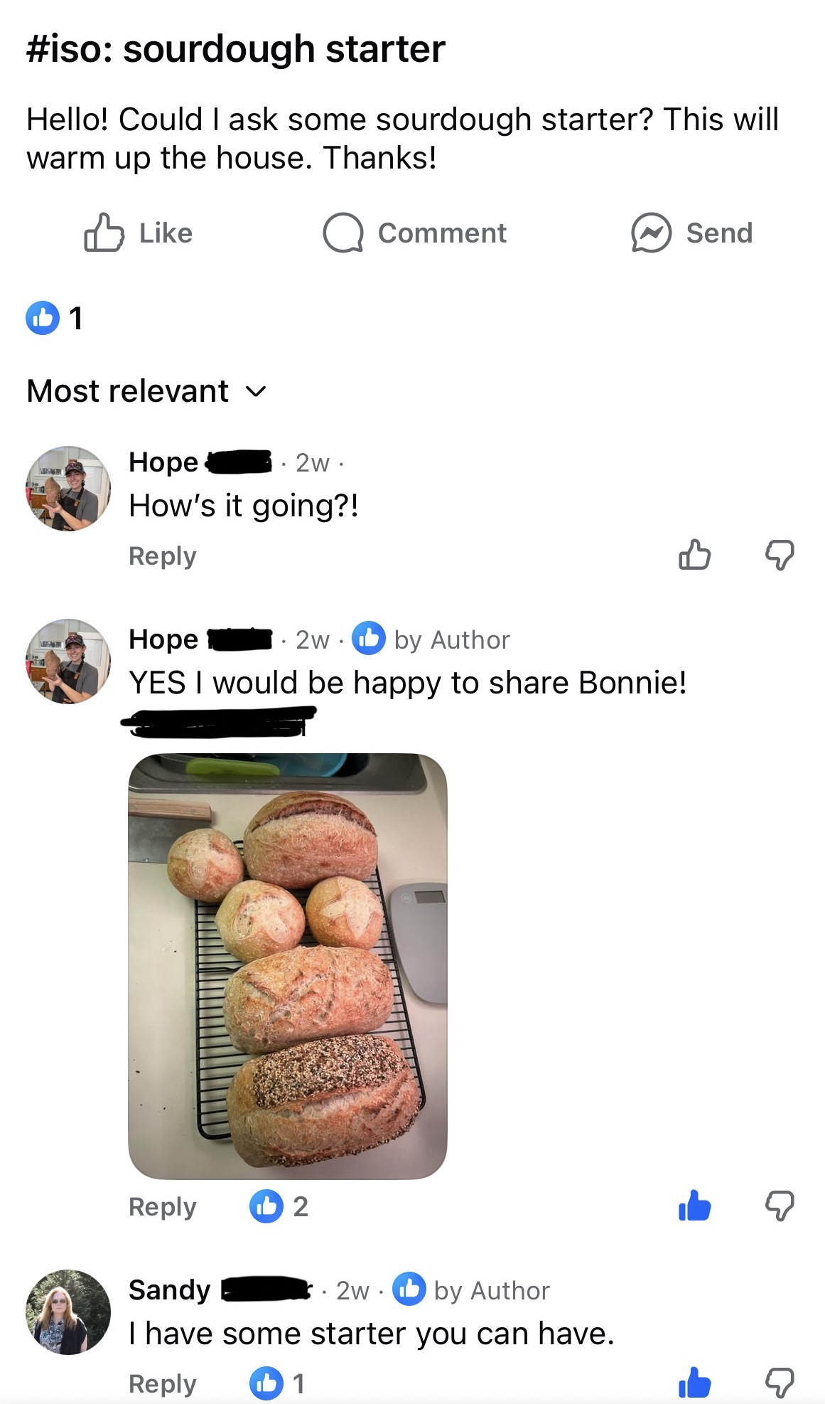 Hello-Bonnie!