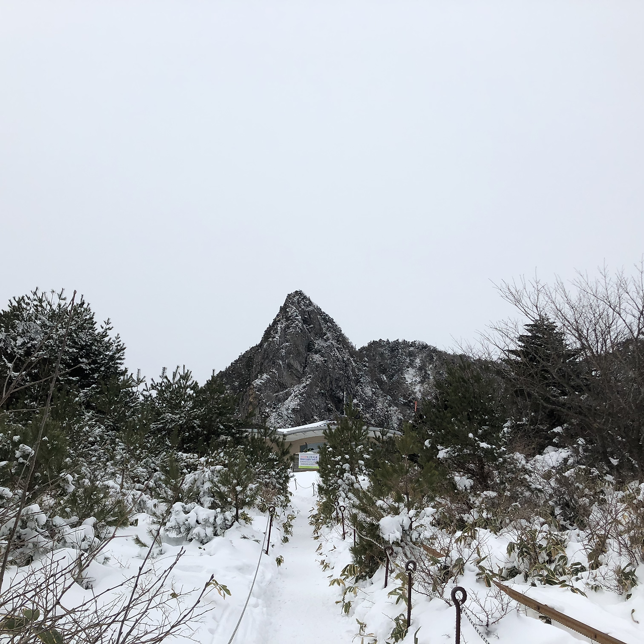 취준일기