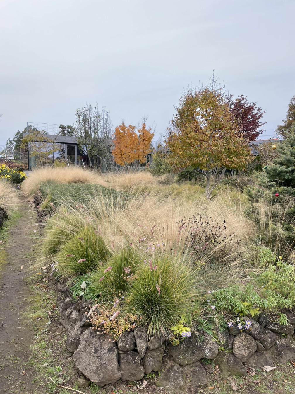 겨울 그리고 베케