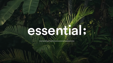 essential;은 누가 운영할까?