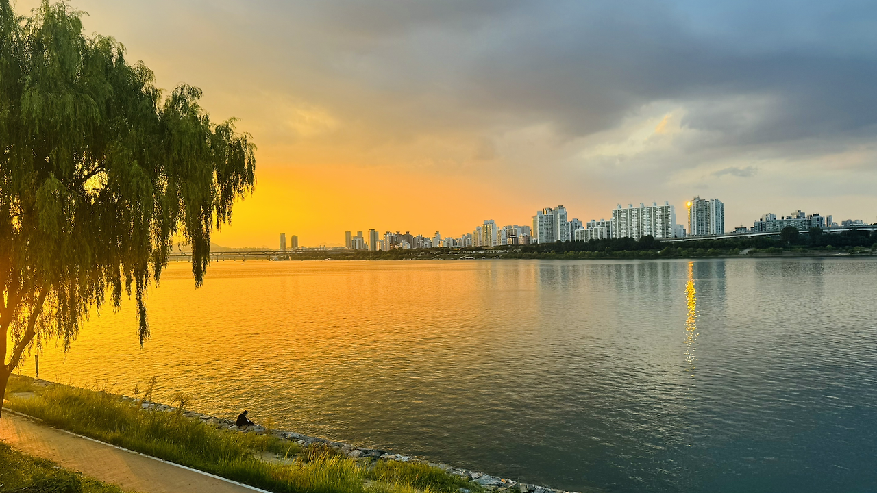 12화 지금보다 더 잘 살고 싶은 마음에