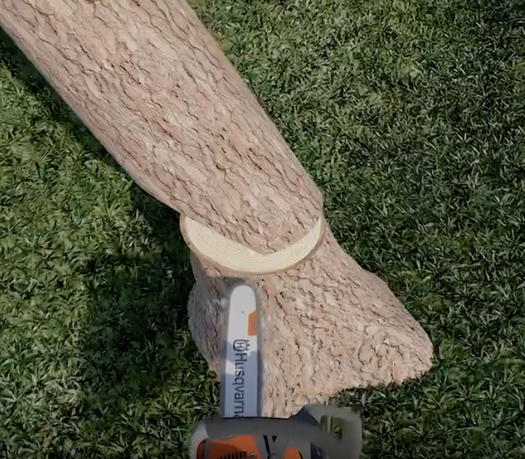 13화 과하게 기울어진 나무 제거하는 방법