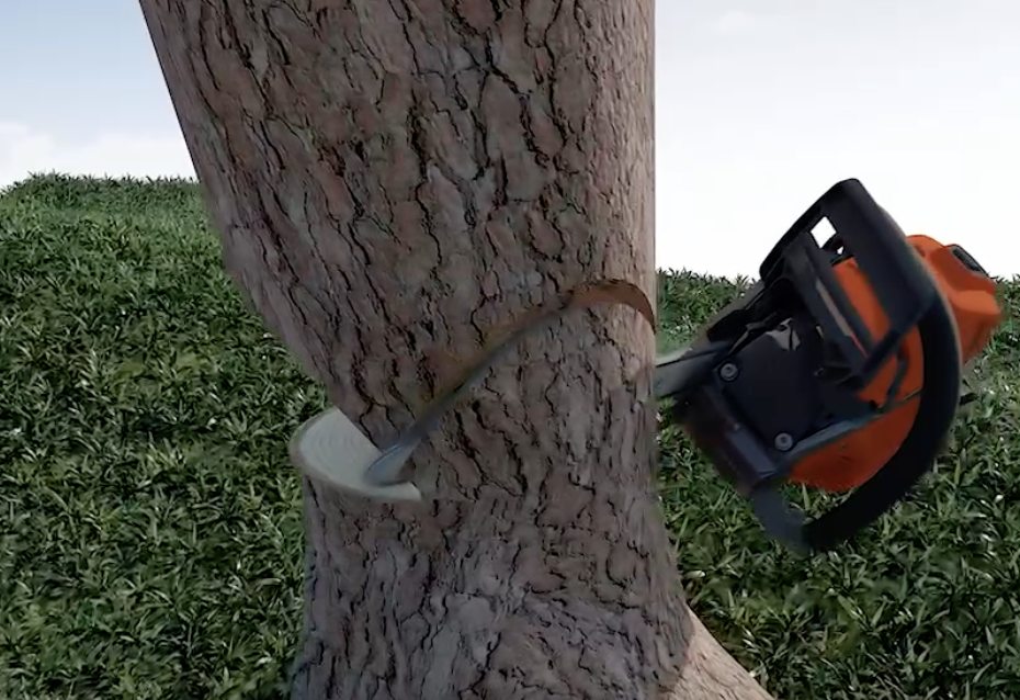 13화 과하게 기울어진 나무 제거하는 방법