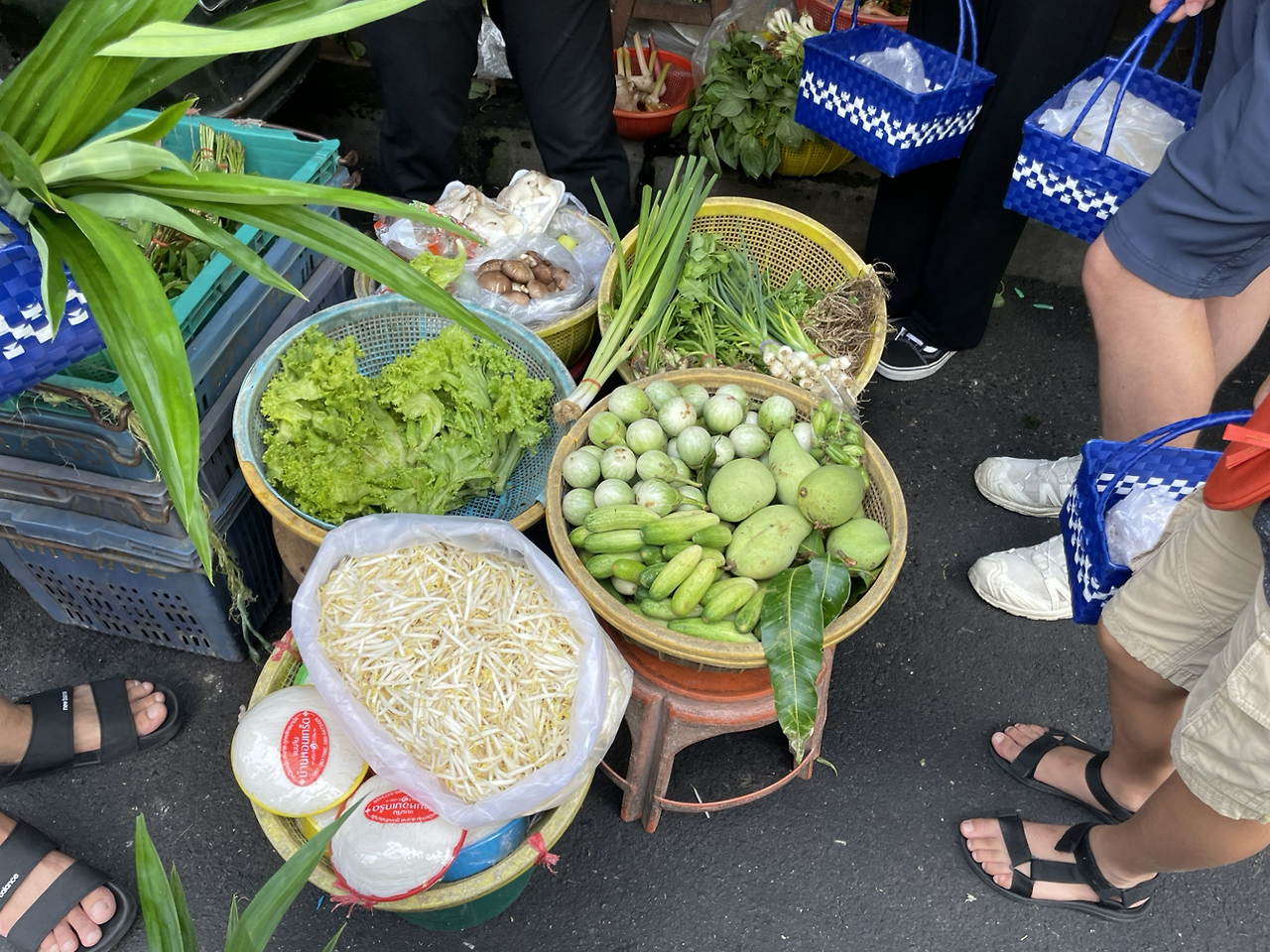 12화 여행의 이유