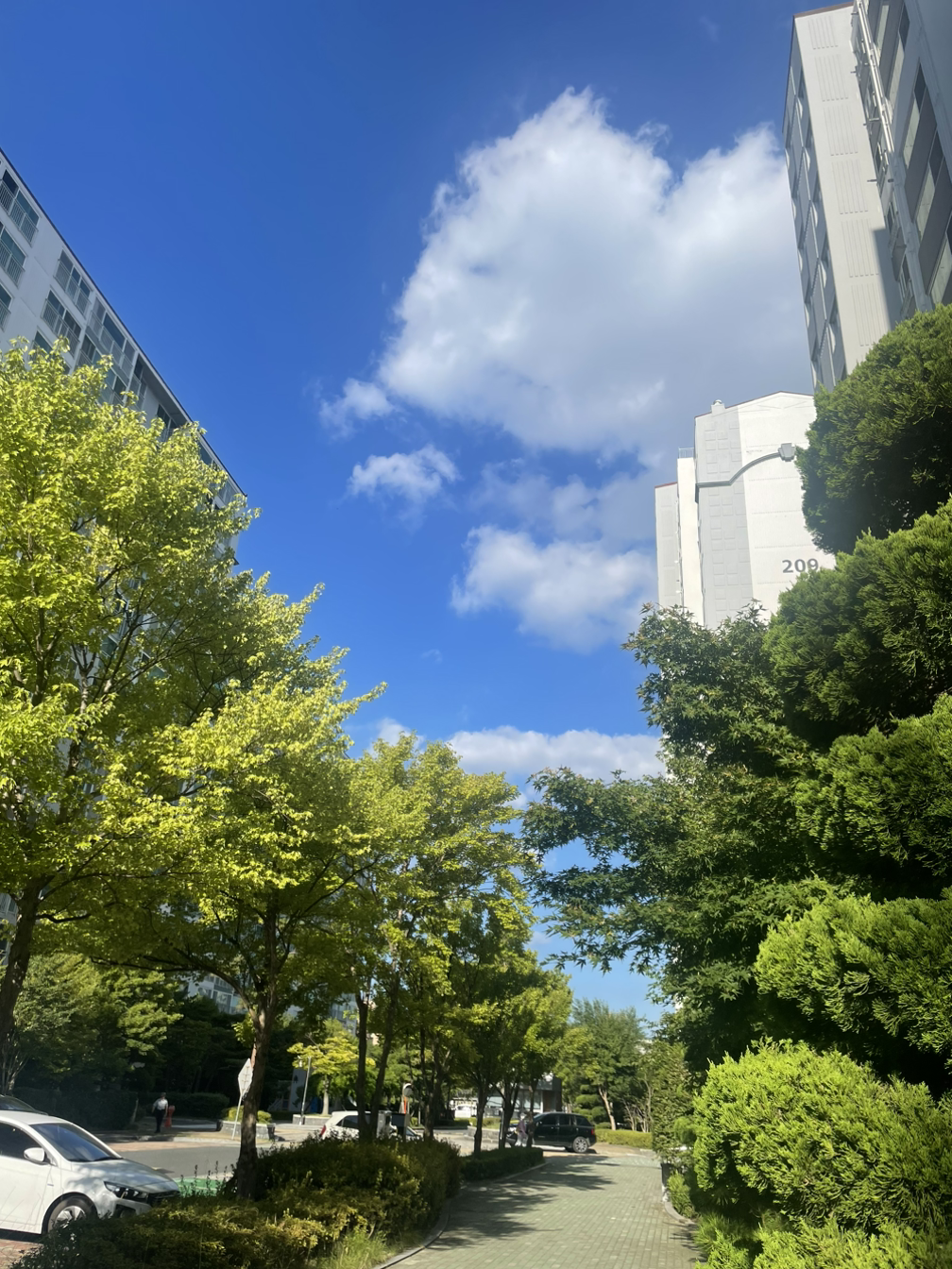 12화 여행의 이유