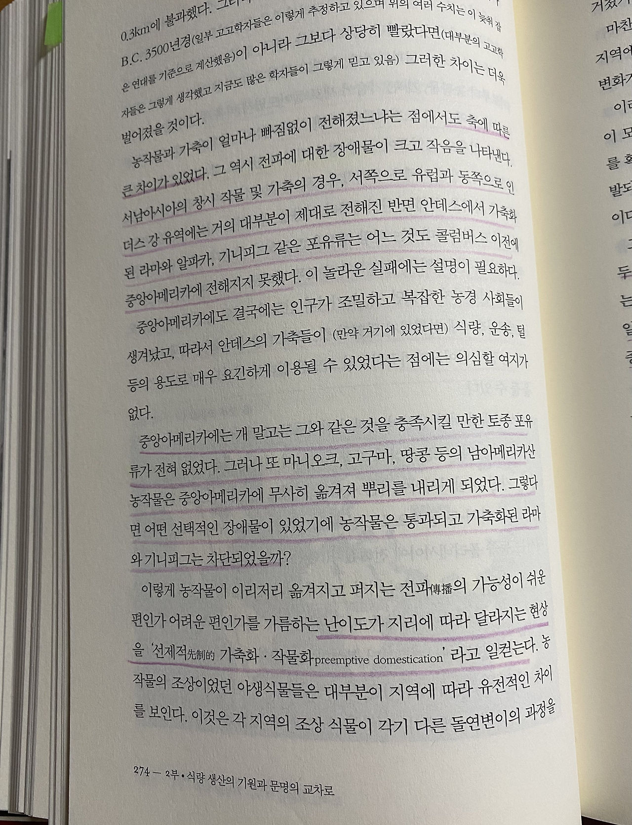 13화 [서평]총균쇠 GUNS, GERMS, AND STEEL
