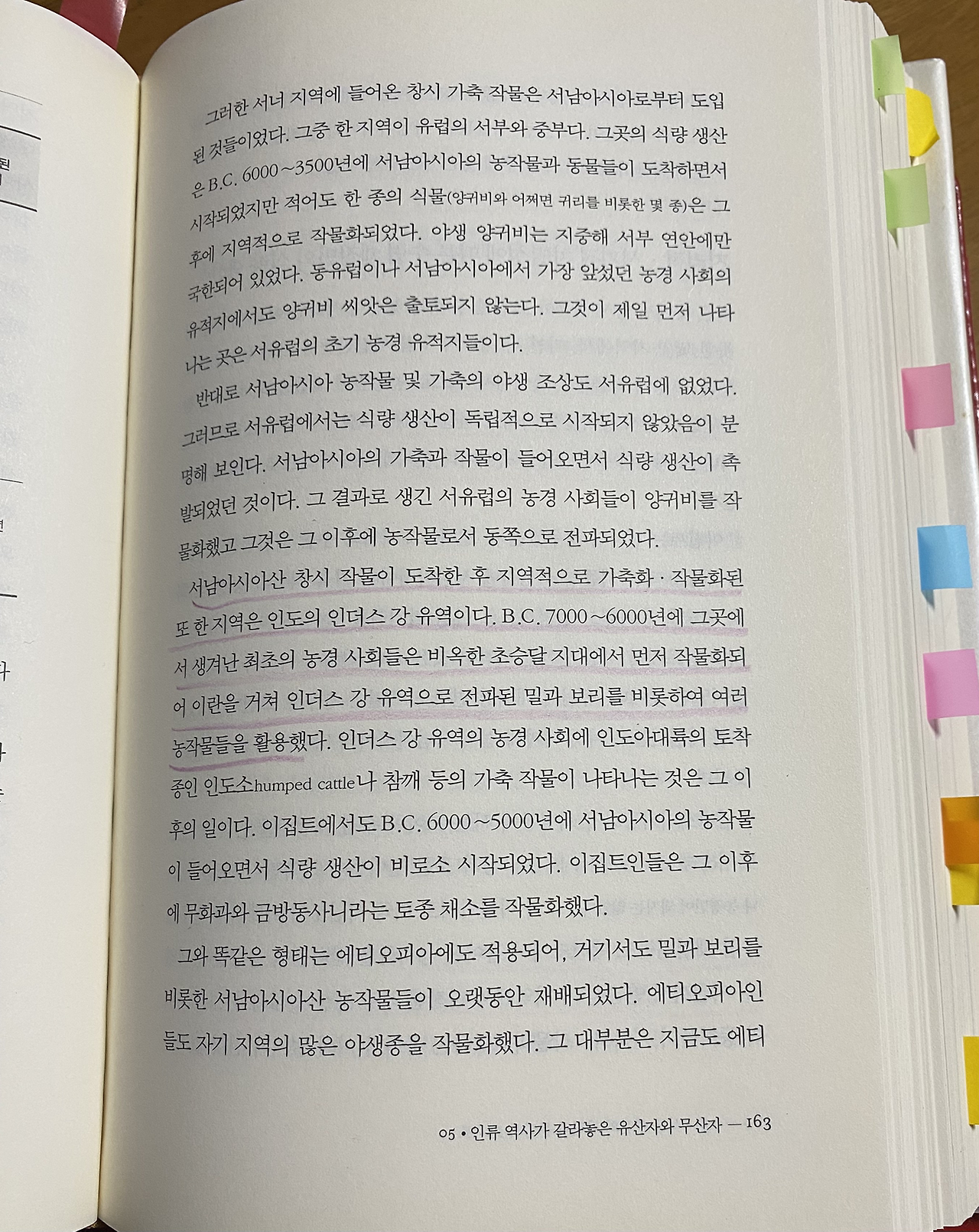 13화 [서평]총균쇠 GUNS, GERMS, AND STEEL