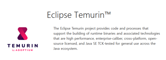 Eclipse Temurin 이클립스 테무린 다운로드
