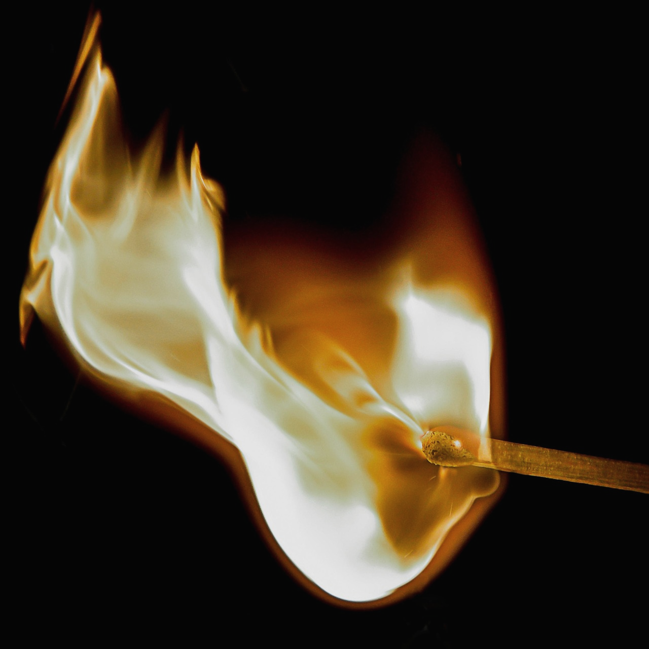 Amazing Match for kids 다운