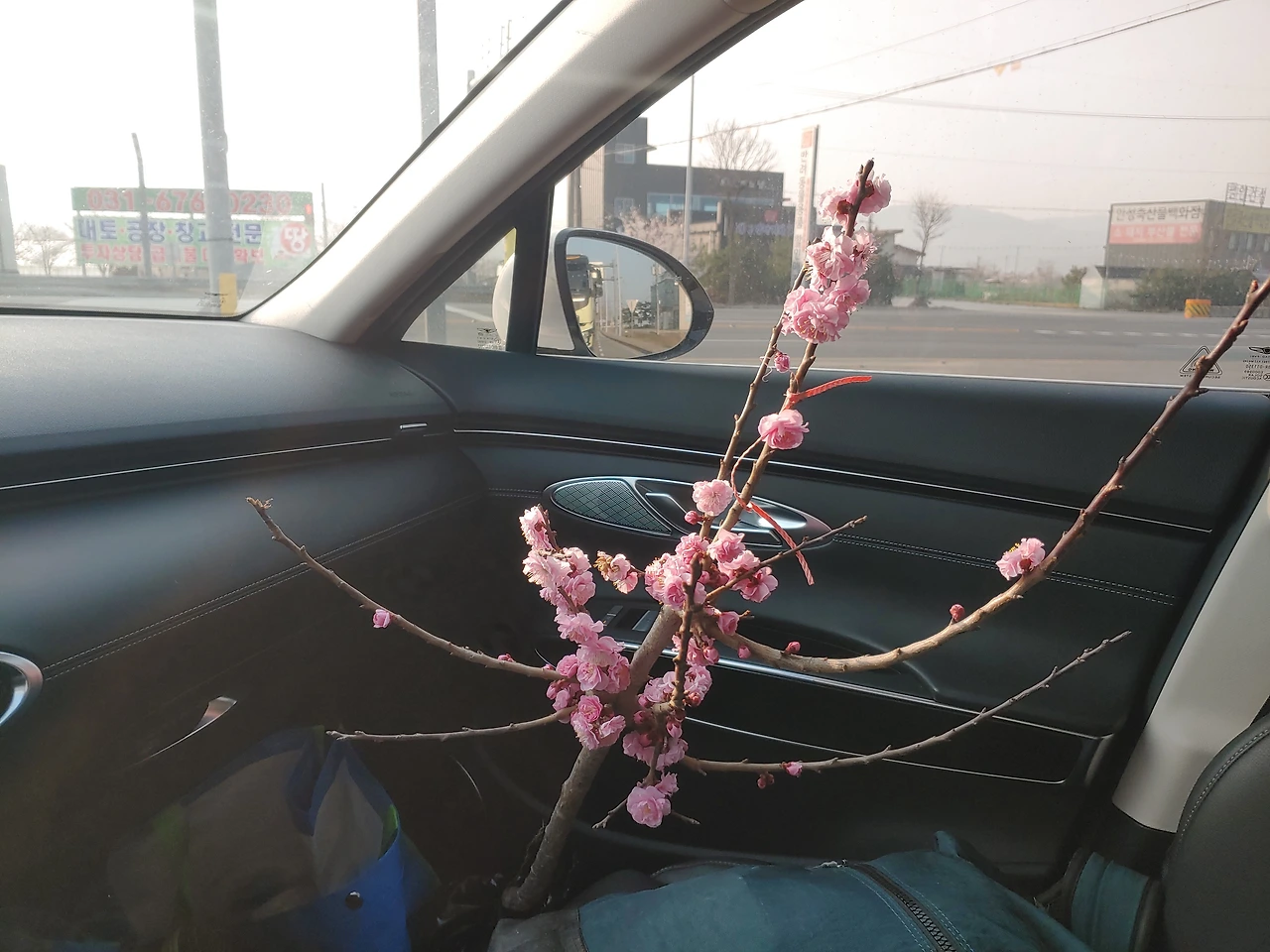 내가 나무를 심는 이유-식목일