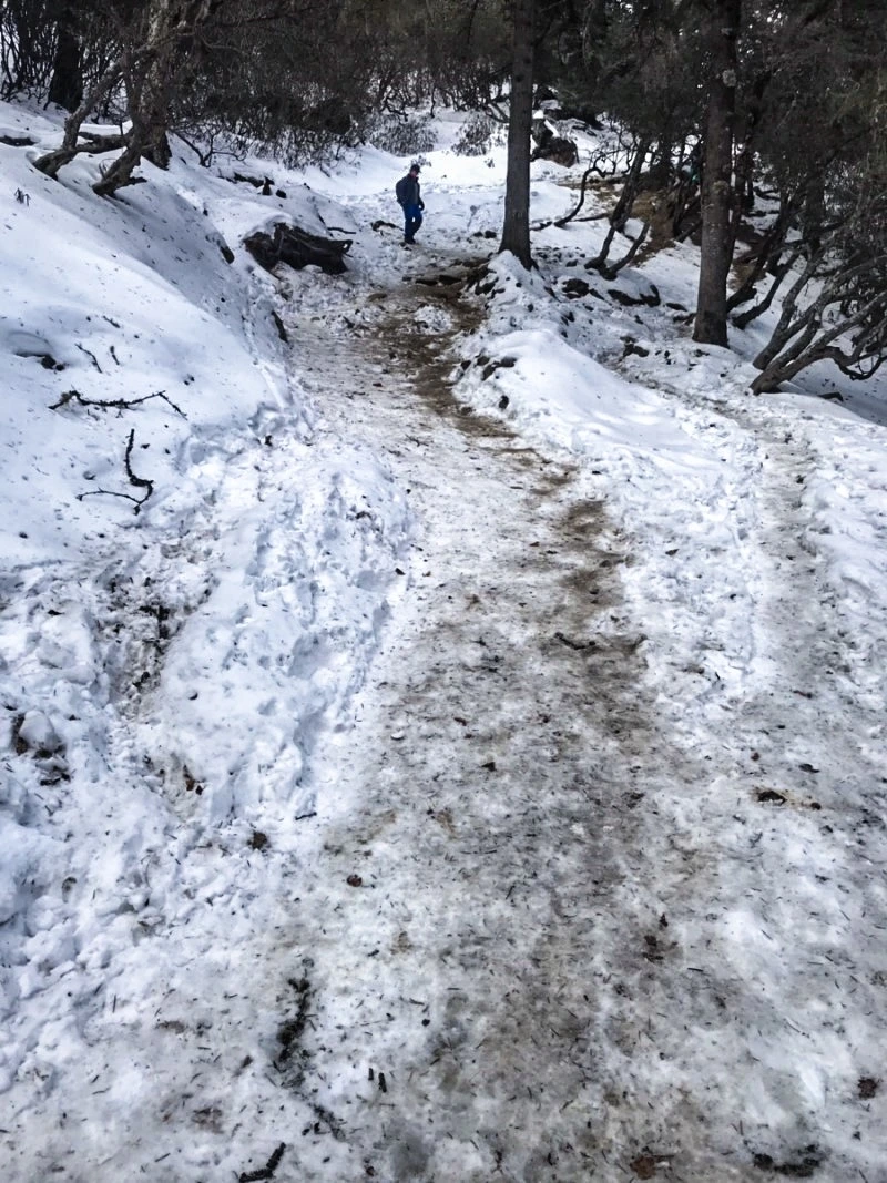 에베레스트 트레킹 중 찾아온 고산병